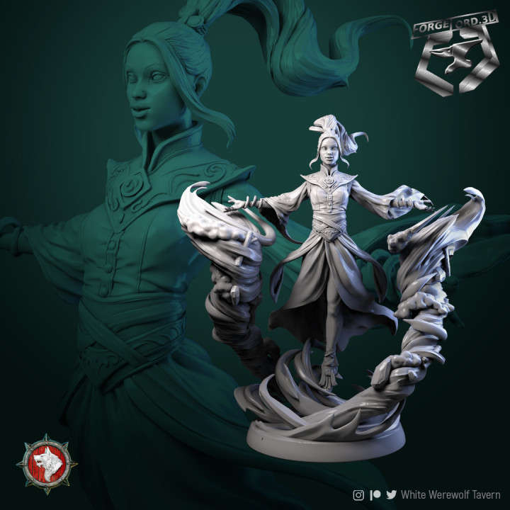 Air Master, statue 75mm - ForgeLord.3D Fantasy Miniatures
