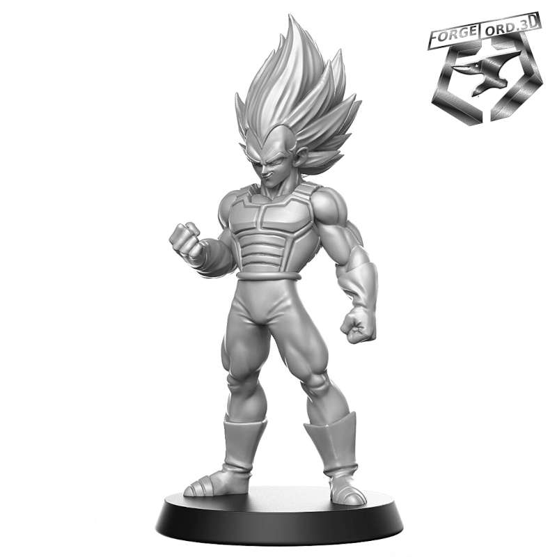 Vegeta - ForgeLord.3D Fantasy Miniatures