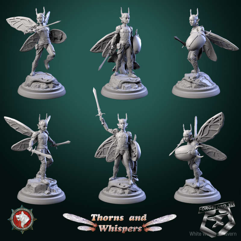 Amber-wing Wardens set, 32mm - ForgeLord.3D Fantasy Miniatures